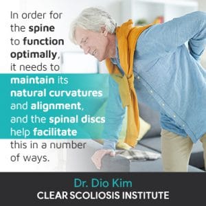 What Is Disc Desiccation? What Causes It? How To Treat It