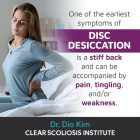 What Is Disc Desiccation? What Causes It? How To Treat It